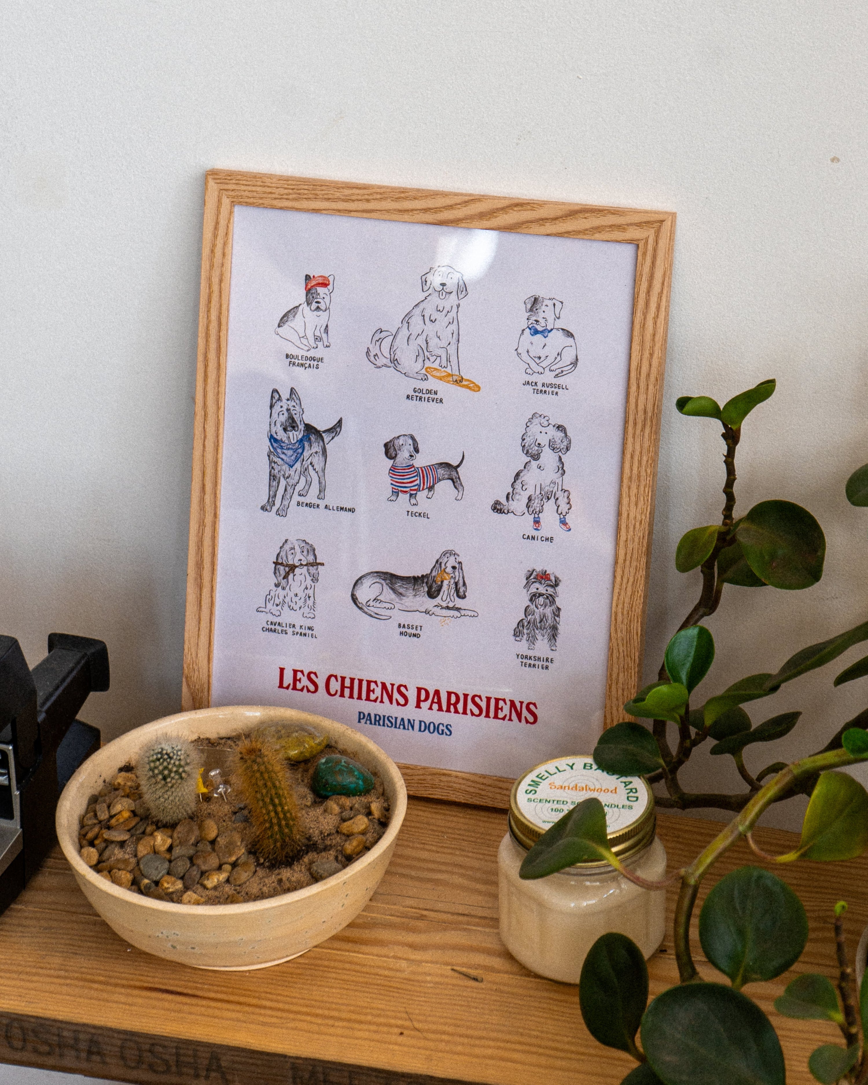 Parisian Dogs Poster