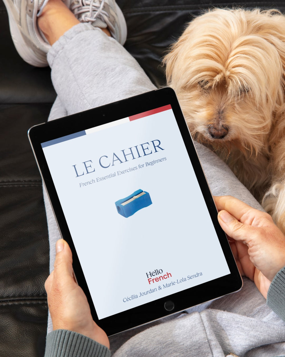 The Beginner Bundle: French Essentials, Exercises, and Pronunciation f